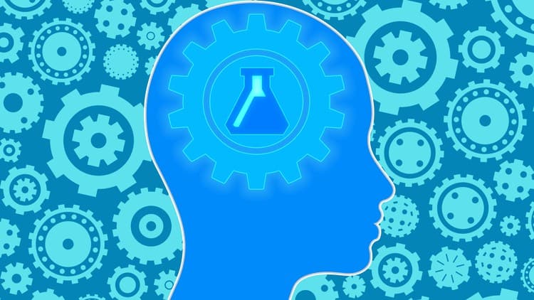 Data Structures And Algorithms Deep Dive Using Java • The Learn Programming Academy