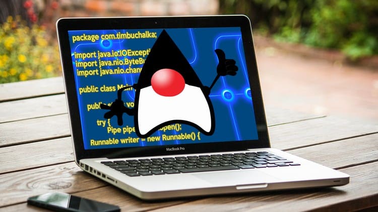 Learn Java Programming Crash Course • The Learn Programming Academy