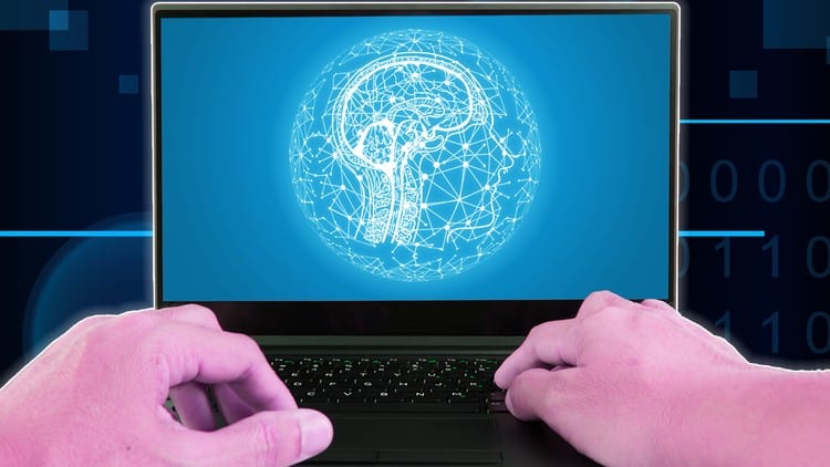 Python REST APIs with Flask, Docker, MongoDB, and AWS DevOps • The Learn Programming Academy