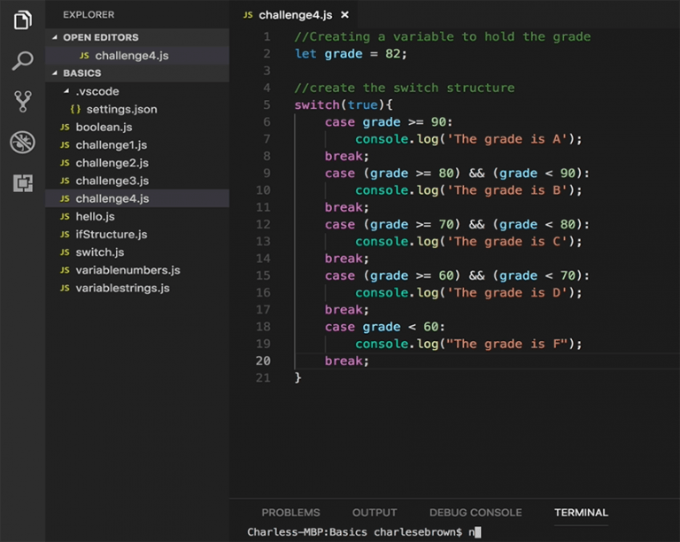 The Future Of Javascript Programming • The Learn Programming Academy 3219